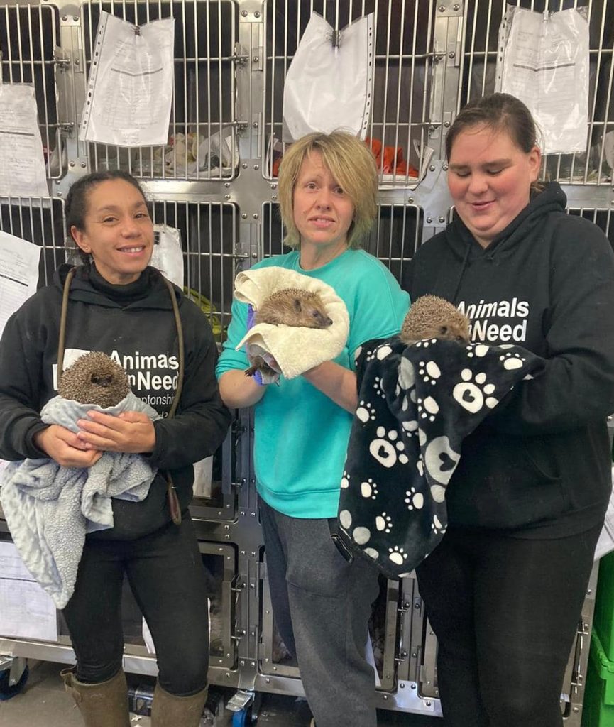 The Wildlife Unit – Animals In Need – Northamptonshire