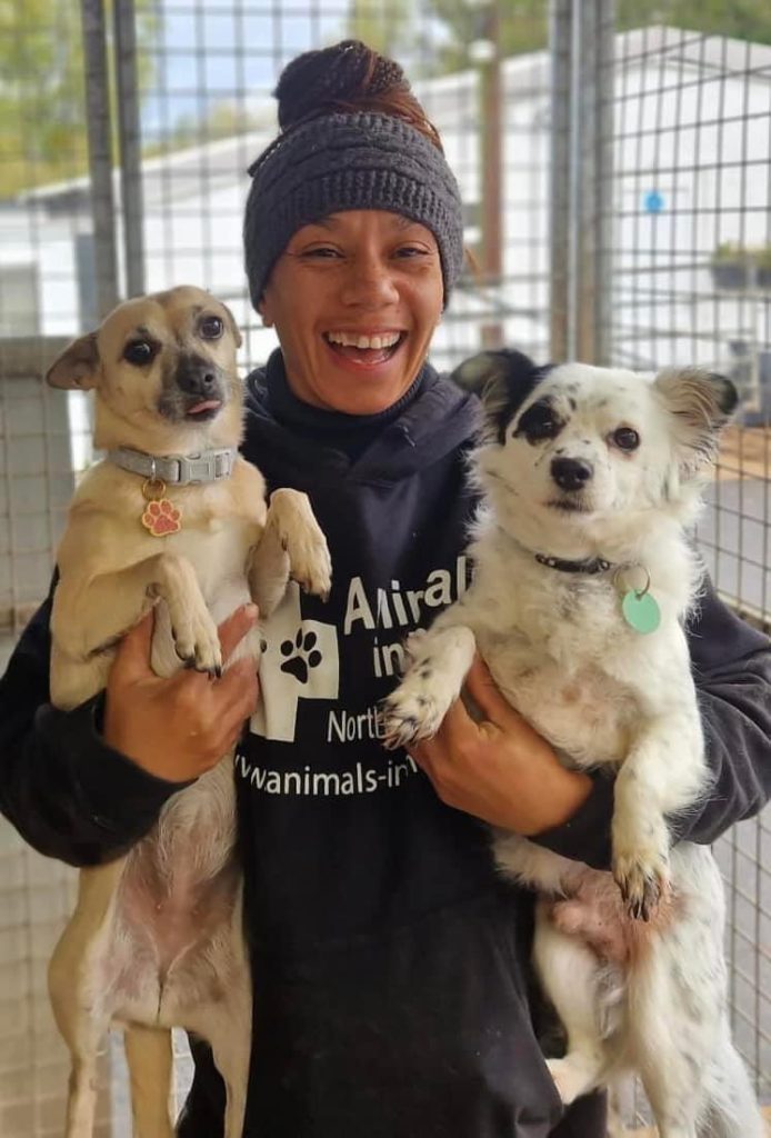 About Us – Animals In Need – Northamptonshire